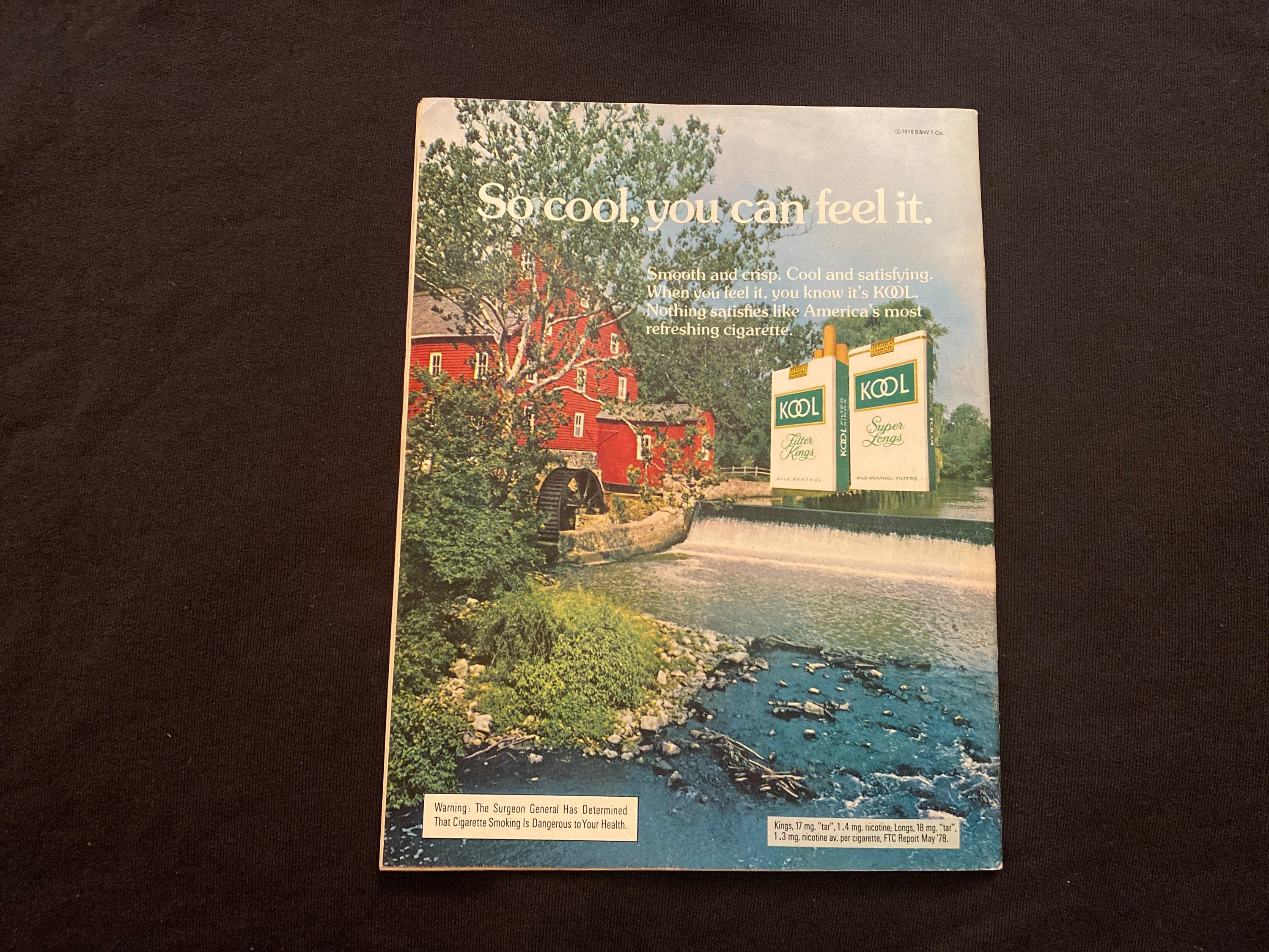 June 1979 Turf and Sports Digest Magazine triple Crown Fever Feat ...