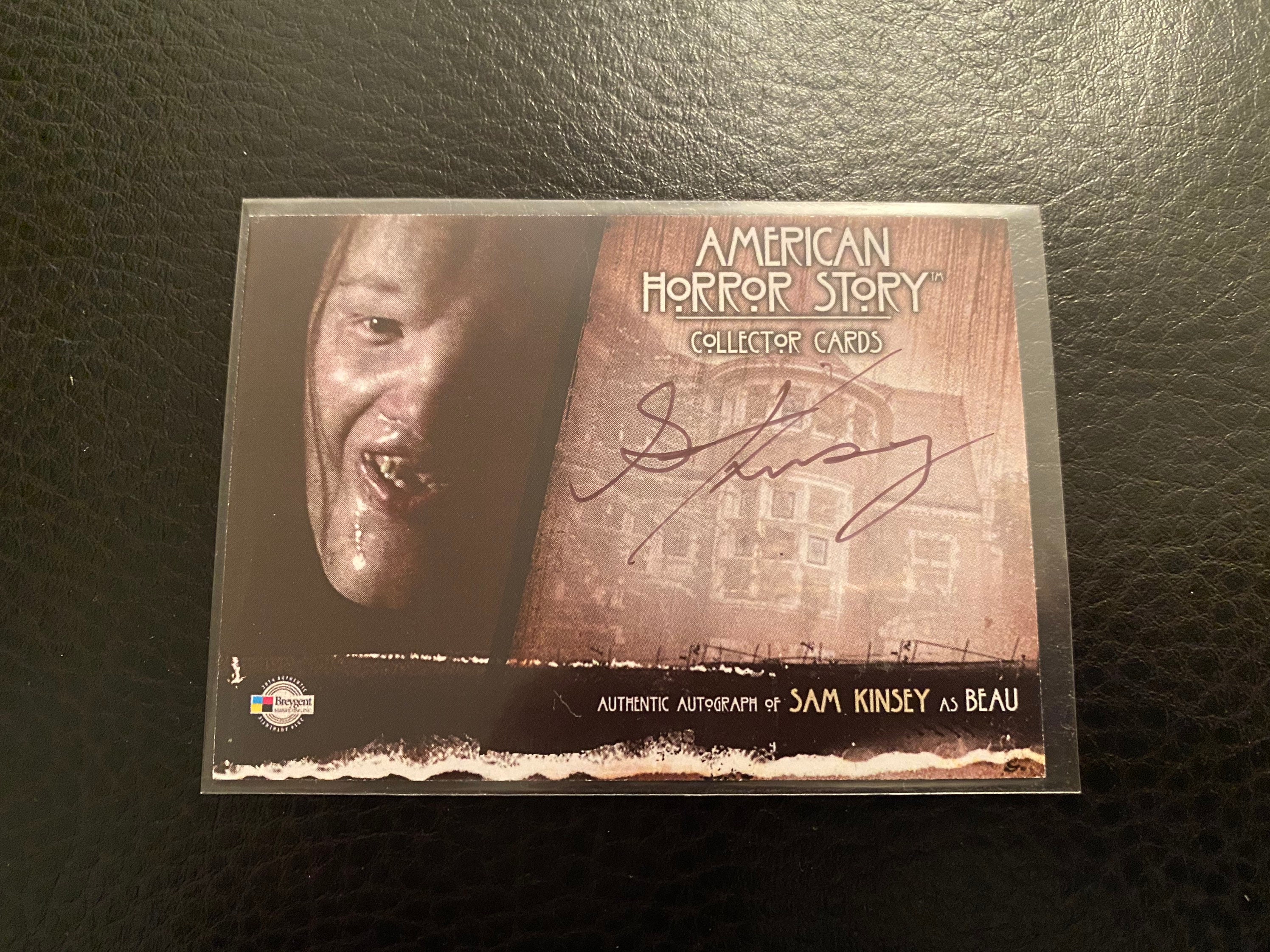 SAM KINSEY als Beau SIGNED 2X seltene authentische Autogramm | Etsy