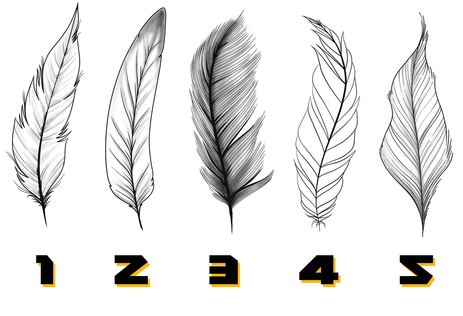 CUSTOM FEATHER NAME Tattoo Design/ Digital Custom Design /personalized ...