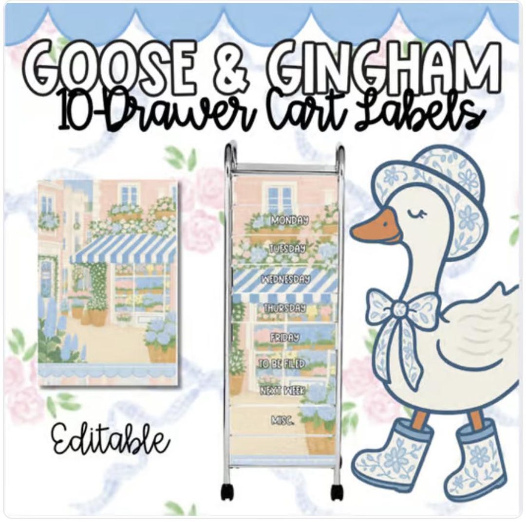 Floral Goose & Gingham 10-drawer Cart Labels | Grandmillennial ...
