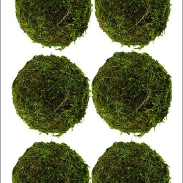 Moss Balls - Etsy
