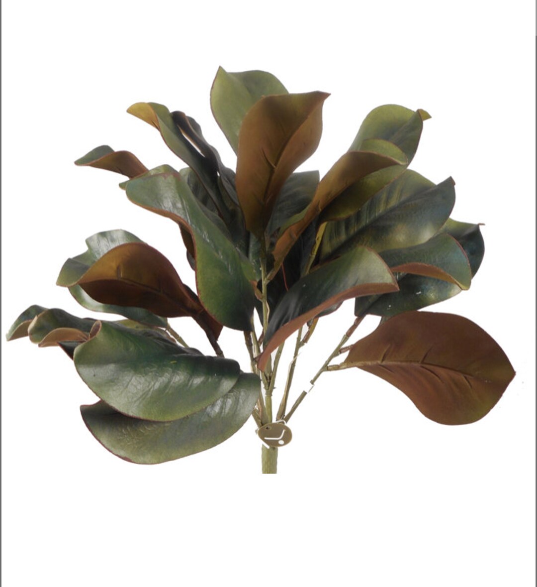 20 " Magnolia Leaf Eva Bush W/ 30 Leaves ( Sold as a Pack of Three ...