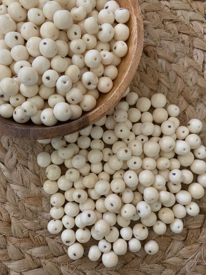 Ivory Acai Seeds, Natural Acai Seeds, Seed Jewelry, 8-10 Mm Acai Seeds ...