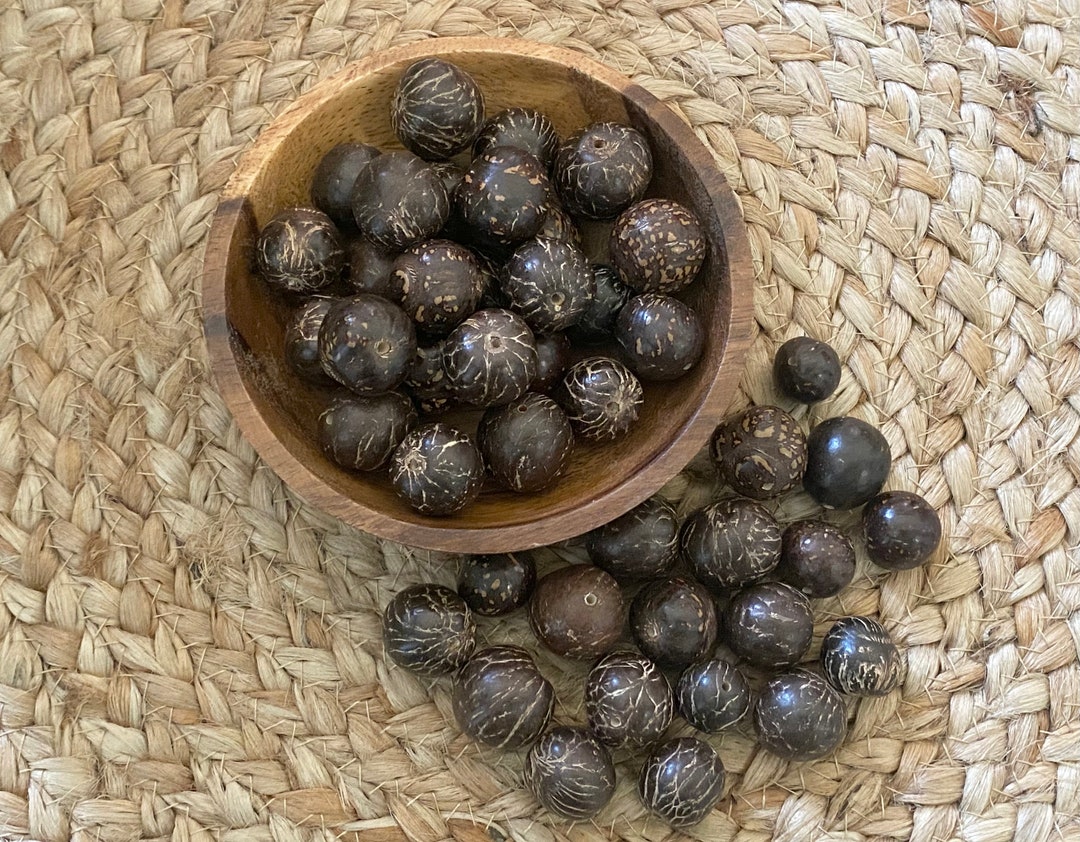 Raw Bombona Seeds, Natural Bombona Seeds, Colombian Seeds, Seed Jewelry ...