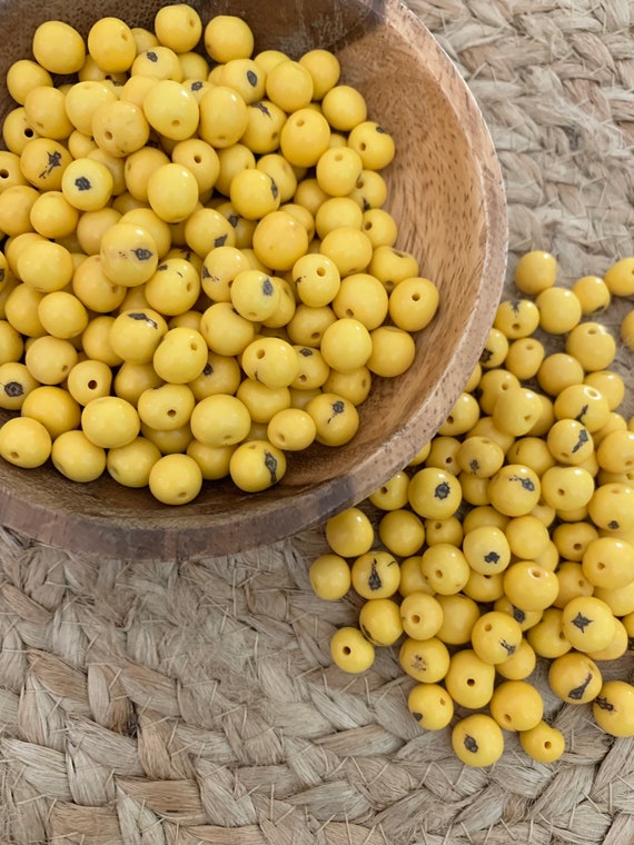 Sunshine Yellow Acai Seeds Colombian Seeds Jewelry Making - Etsy