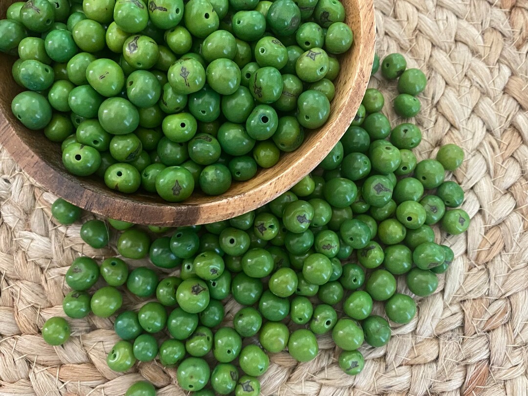 Rainforest Green Acai Seeds, Natural Acai Seeds, Seed Jewelry, 8-10 Mm ...