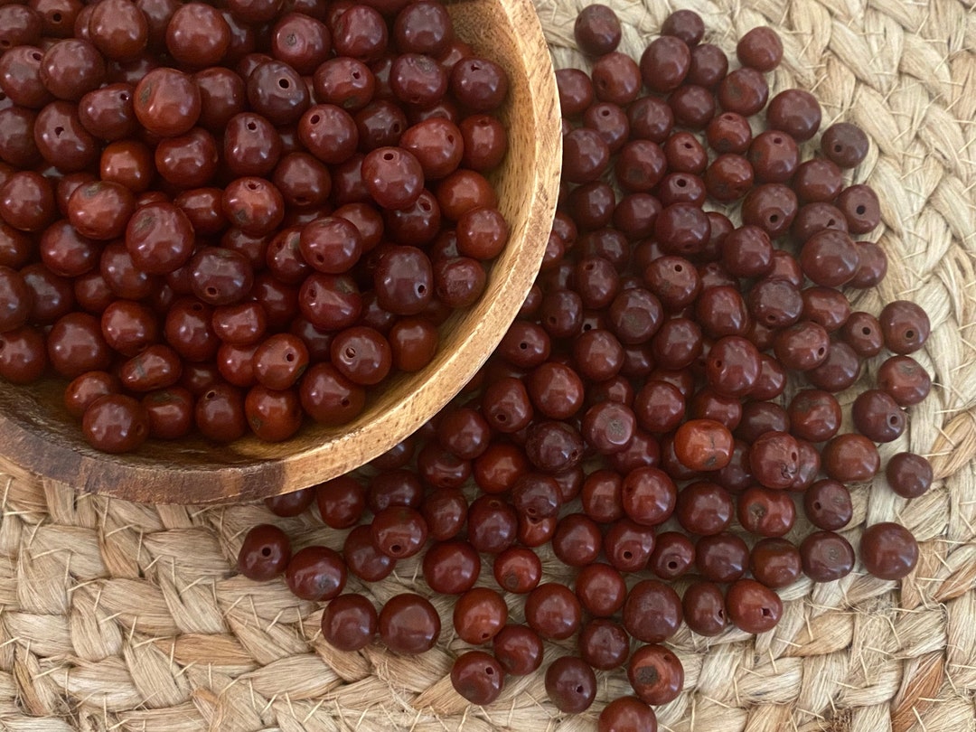 Chocolate Brown Acai Seeds, Natural Acai Seeds, Seed Jewelry, 8-10 Mm ...