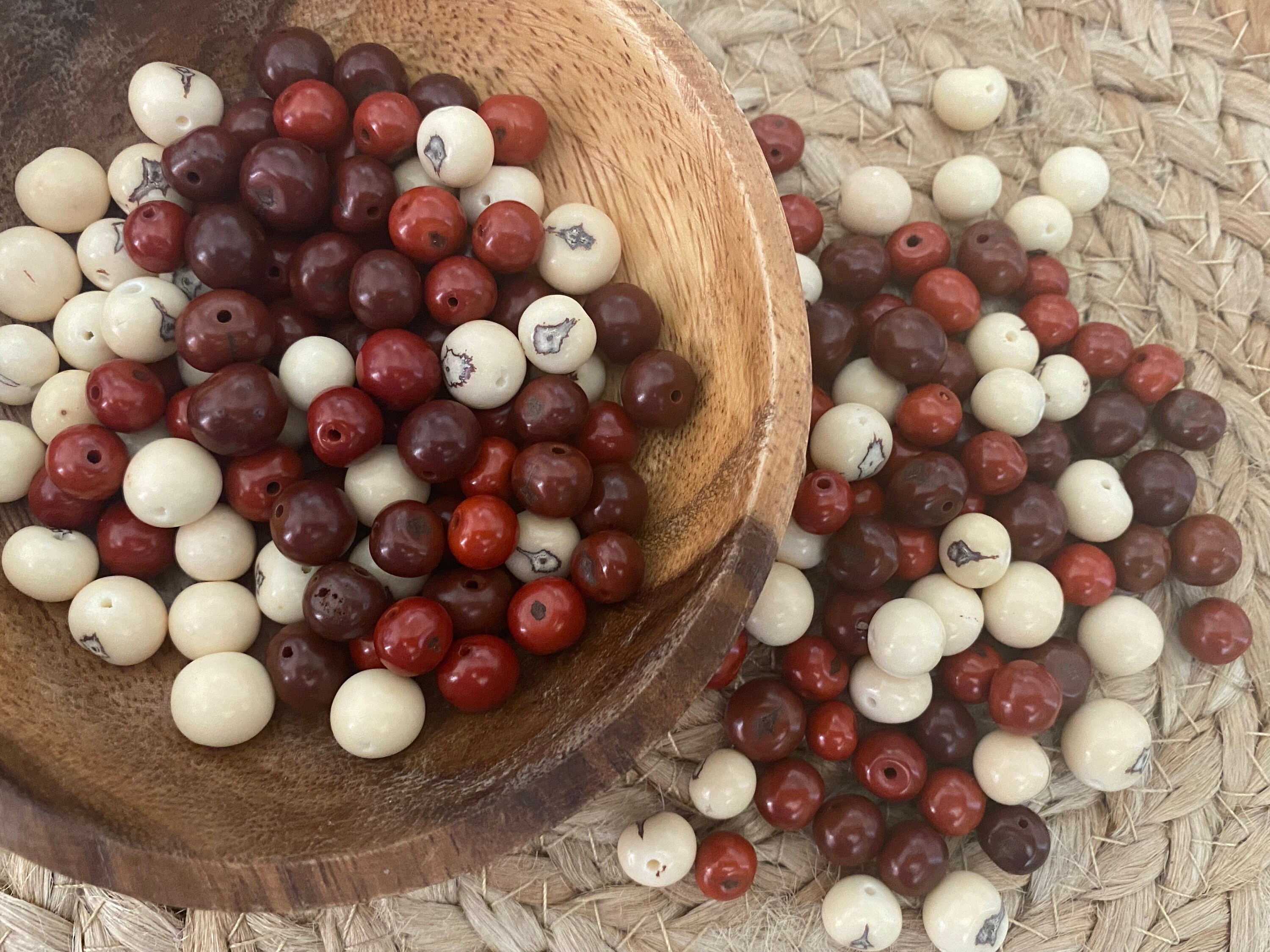 Assorted Acai Seeds, Ivory, Chocolate Brown and Hazelnut, Seed Jewelry ...