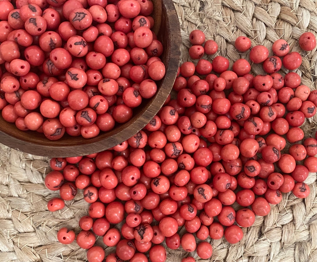 Coral Acai Seeds| Natural Acai Seeds| Colombian Seeds| Seed Jewelry ...