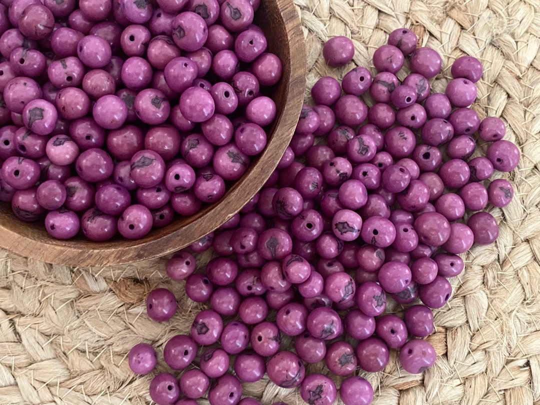 Orchid Acai Seeds| Natural Acai Seeds| Colombian Seeds| Seed Jewelry ...