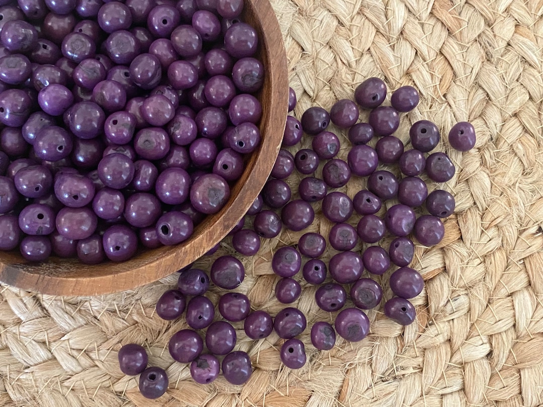 Eggplant Acai Seeds, Natural Acai Seeds, Colombian Seeds, Seed Jewelry ...