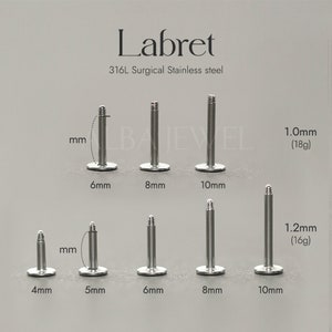 Long Leaf Cubic Barbell Labret Stud Earring Cartilage Conch Snug 18G ...