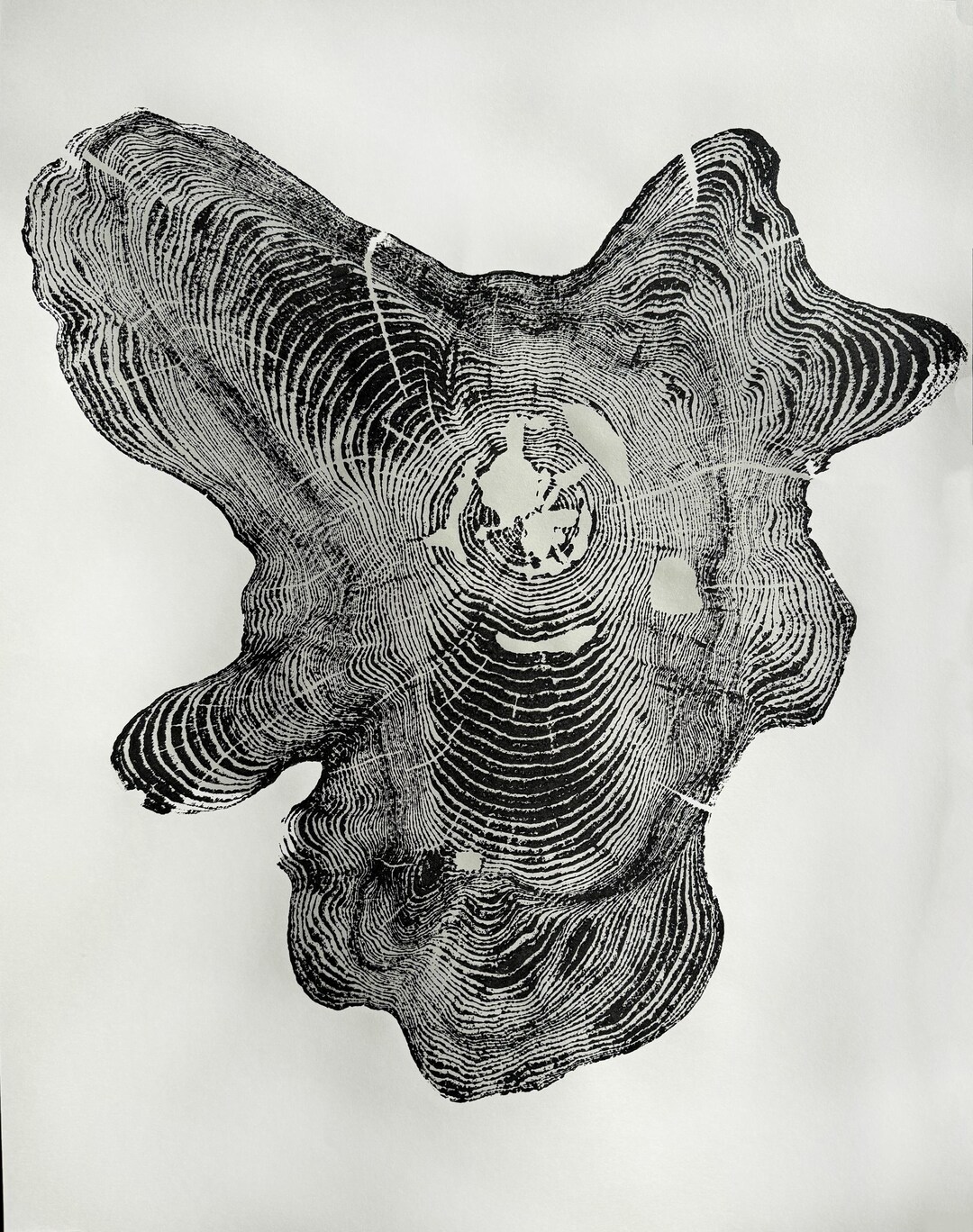 Cedar Tree Ring Print, Upper Peninsula of Michigan "she Burns", Relief ...