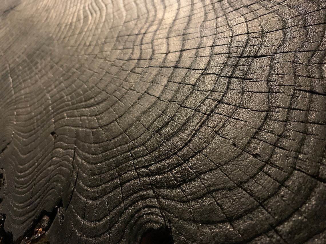 Tree Ring Print From Lansing, Michigan. Hand Pressed. Interior Cut From ...