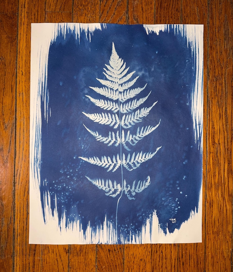 Botanical Cyanotype With Fern - Etsy