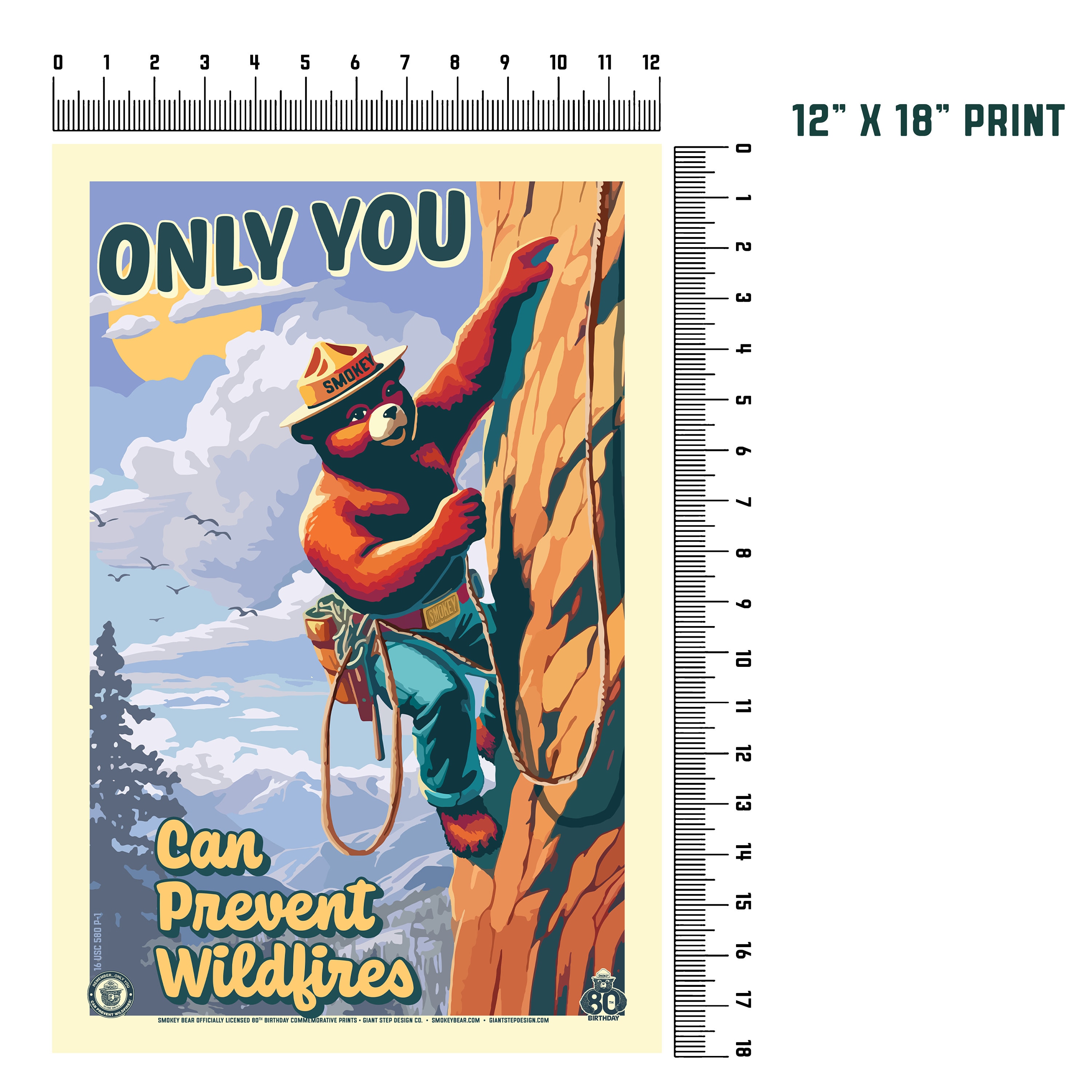 Only You Can Prevent Wildfires Rock Climbing Smokey Bear Commemorative ...