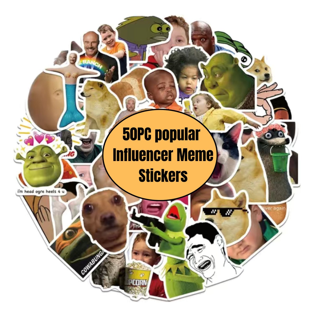 50PC Popular Internet Influencer Meme Doodle Stickers/ - Etsy