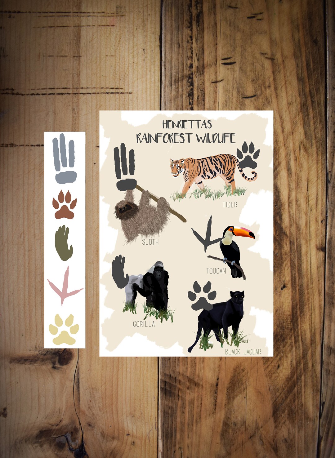 Rainforest Reward Chart Personalised - Etsy
