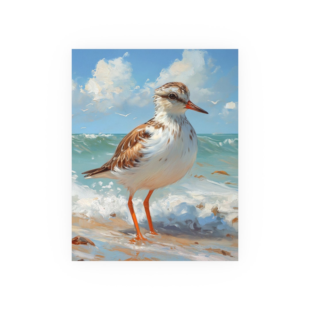 Beautiful Sand Piper Bird Standing on Beach Waves Ocean-beach House ...
