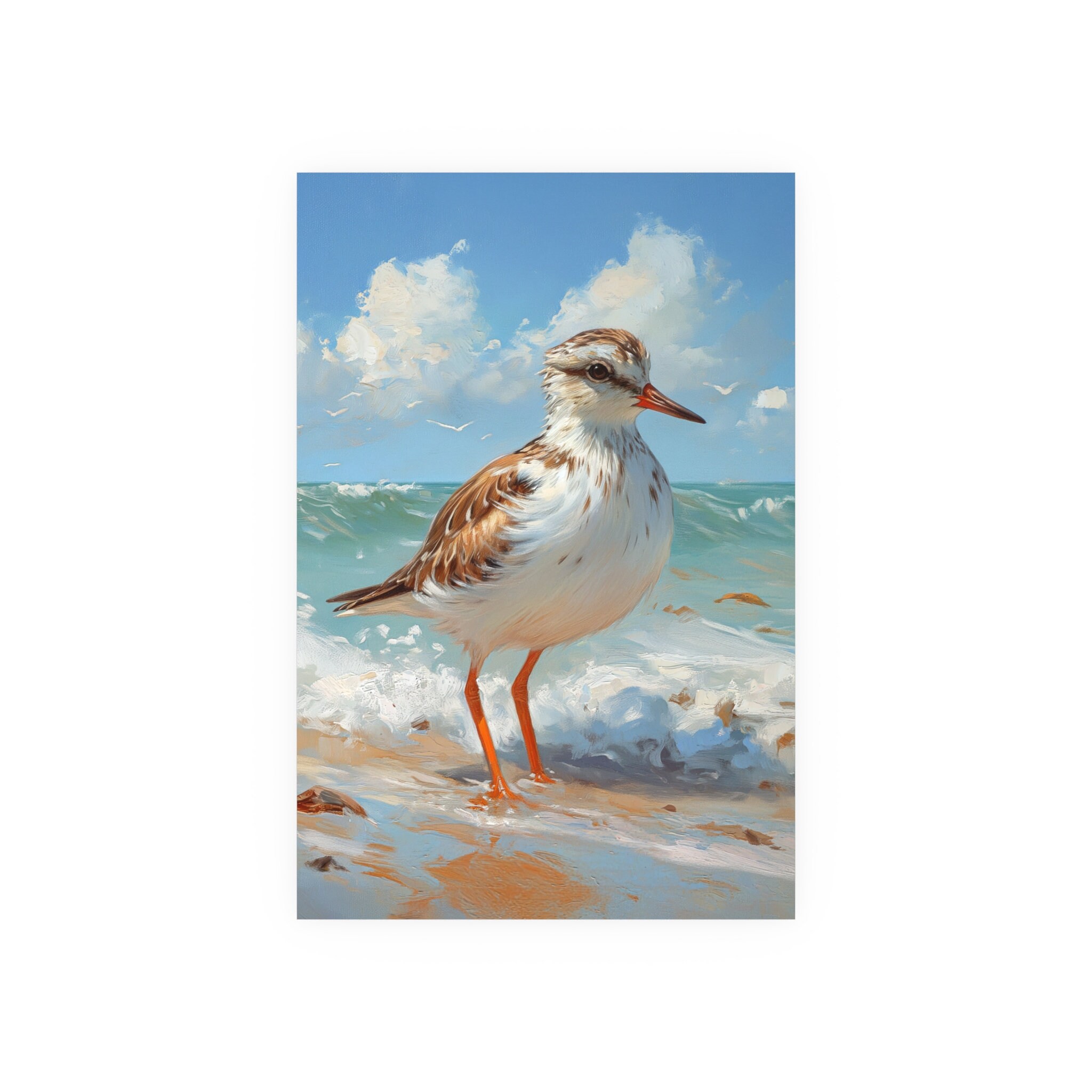 Beautiful Sand Piper Bird Standing on Beach Waves Ocean-beach House ...