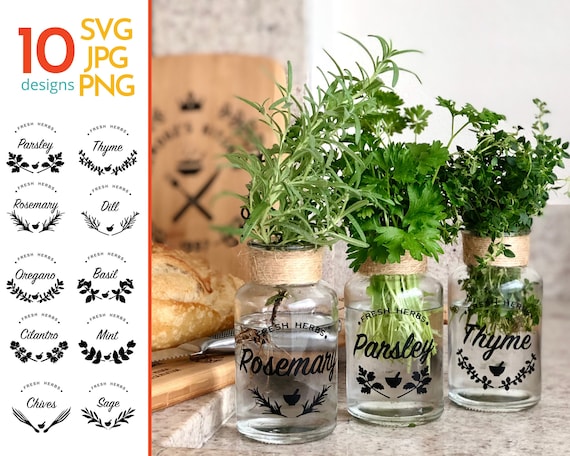 Fresh Herbs SVG Bundle. Get This Cooking Herbs SVG and Make - Etsy