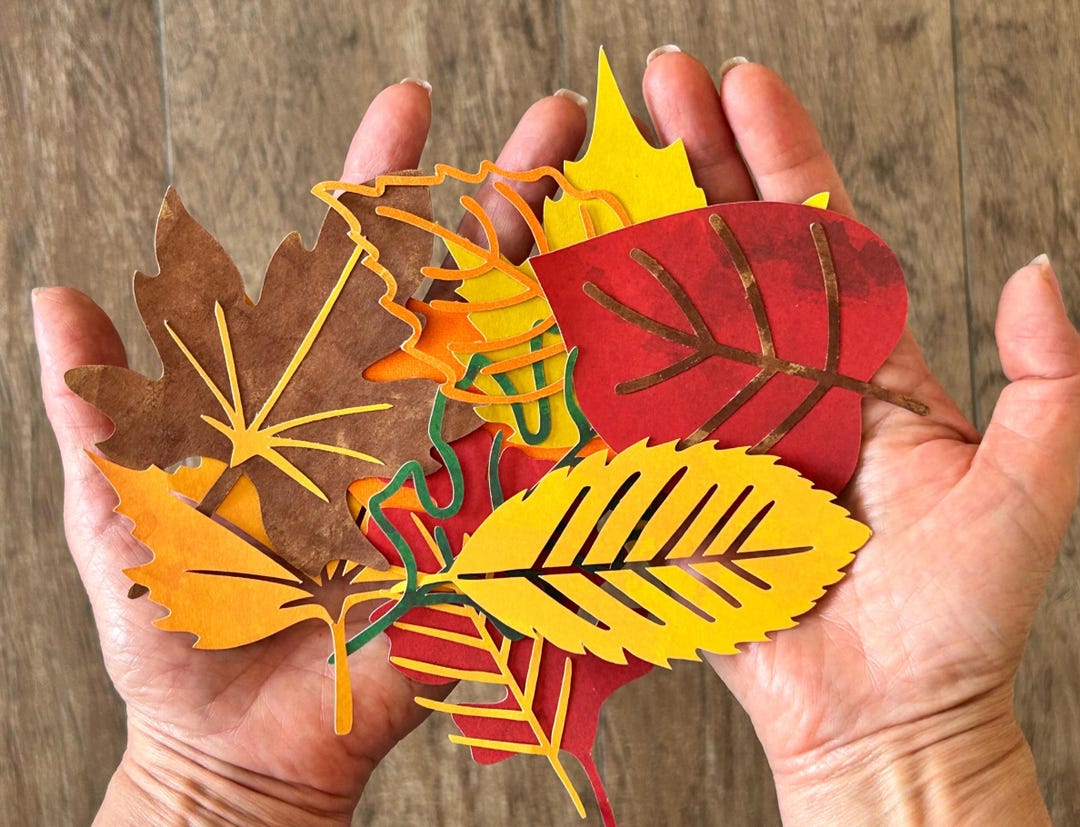 Fall Leaves SVG Bundle Autumn Leaves SVG Cut File Paper Leaves Template ...