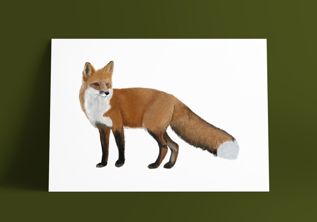 Fox Print, Fox Wall Art, Fox Illustration, Fox Drawing, Country Print ...