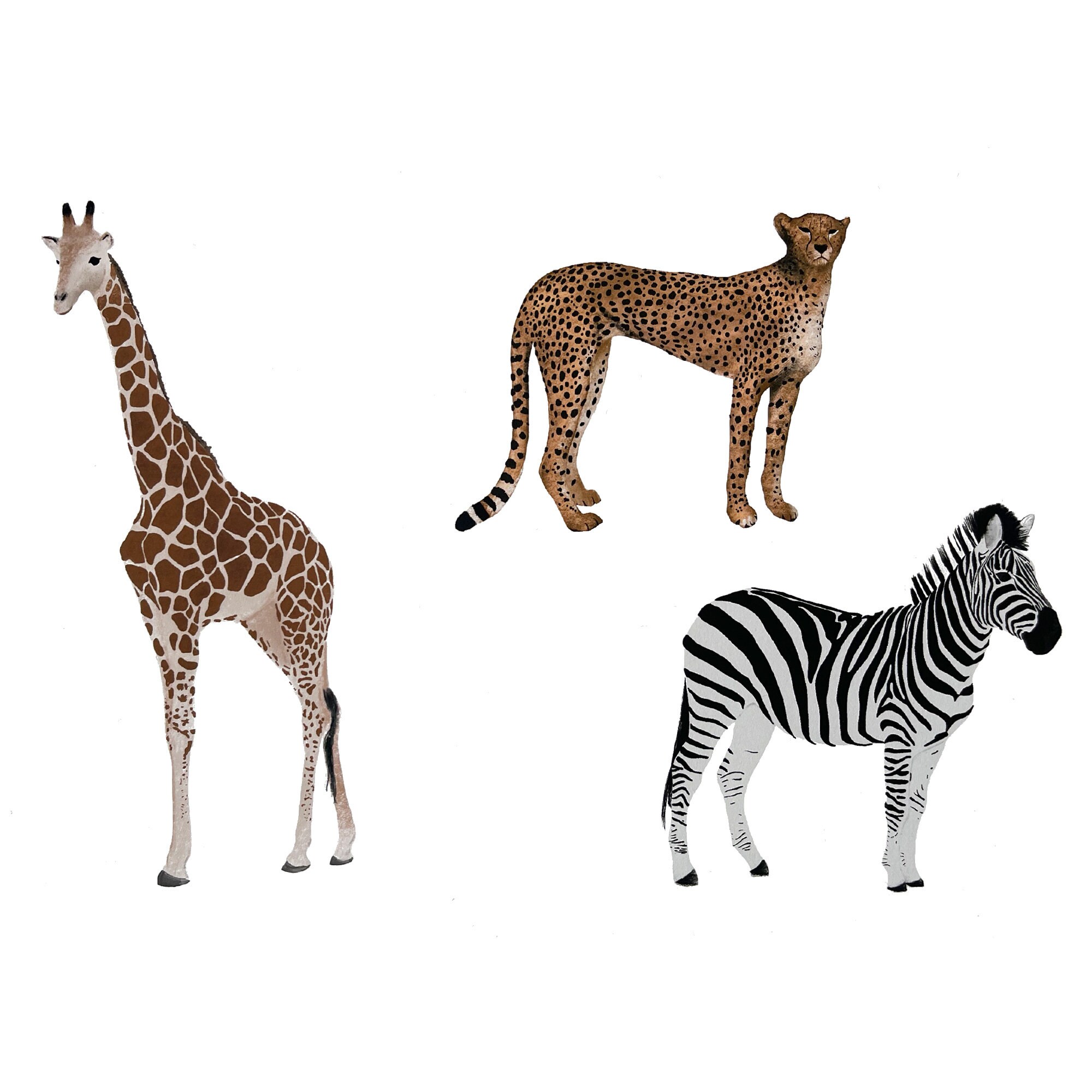 Jirafa Estampado, Jirafa Arte mural, Jirafa Ilustración, Jirafa Dibujo ...