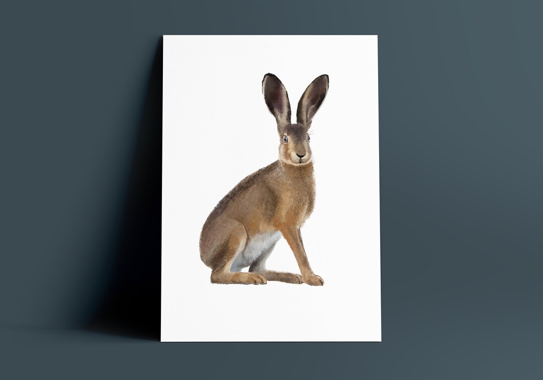 Hare Print, Hare Wall Art, Hare Illustration, Hare Drawing, Country ...