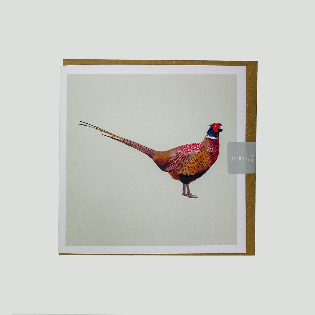 Pheasant Card, Blank Card, Pheasant Greeting Card, Pheasant Stationary ...
