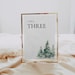 Pine Tree Table Number Set, Winter Wedding Table Numbers, Christmas ...