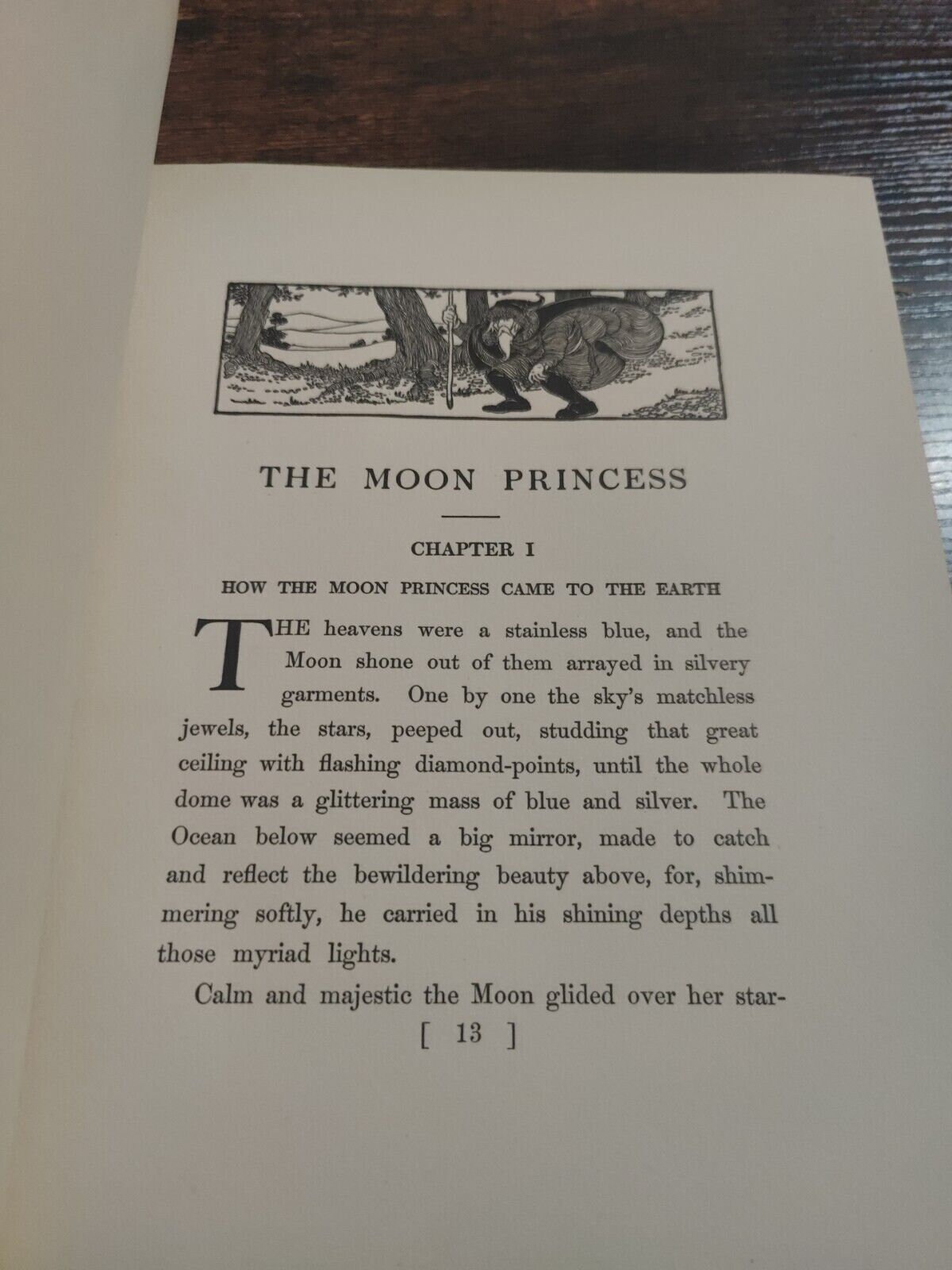 The Moon Princess: A Fairy Tale by Edith Ogden Harrison 1905 - Etsy