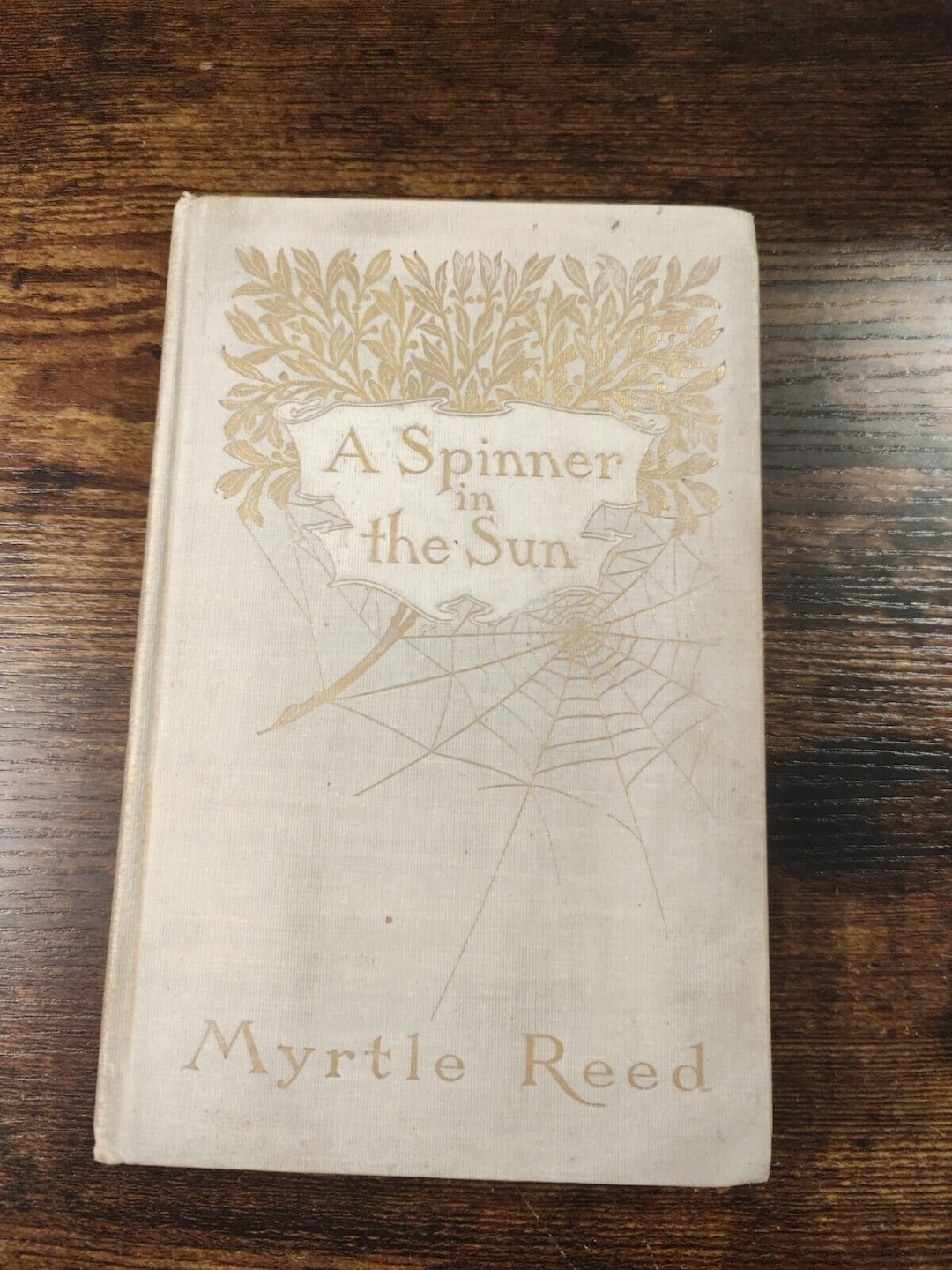 A Spinner in the Sun by Myrtle Reed 1906, Margaret Armstrong Cover - Etsy