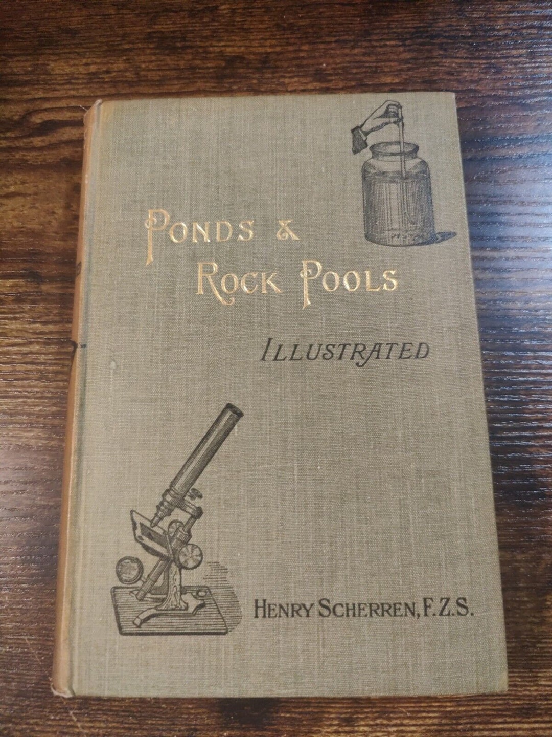 Ponds and Rock Pools With Hints on Collecting for and the Management of ...