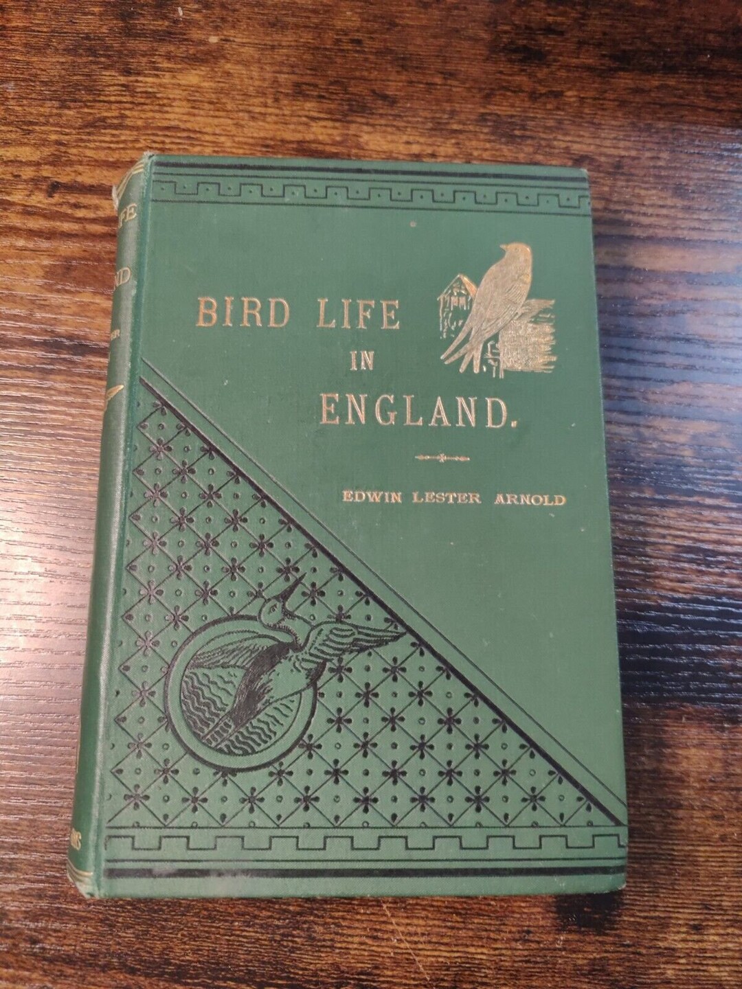Bird Life in England by Edwin Lester Arnold 1887 - Etsy