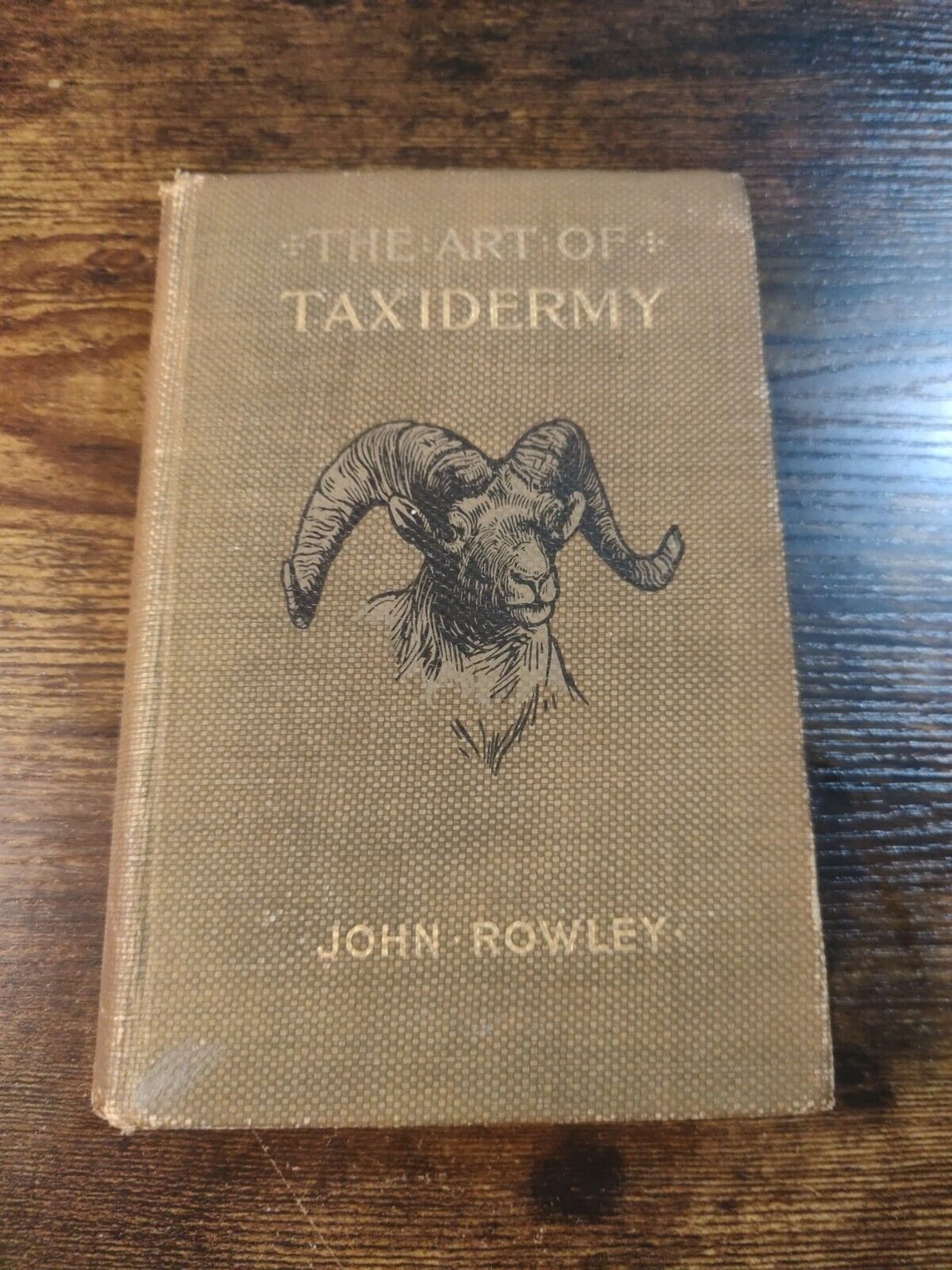 The Art of Taxidermy by John Rowley 1904 - Etsy