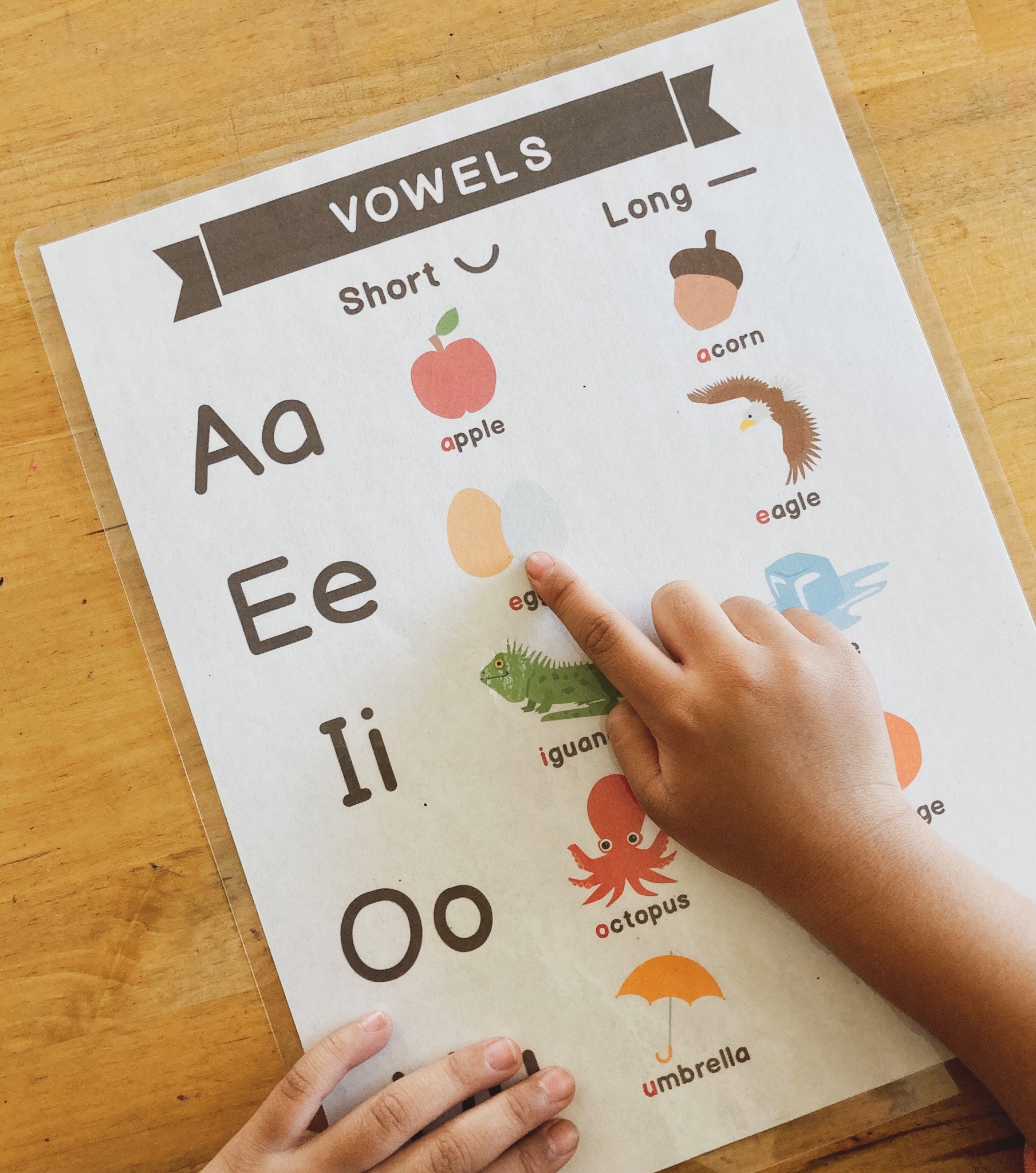 Vowels Chart Learning Vowels Alphabet Busy Book Binder | Etsy Australia