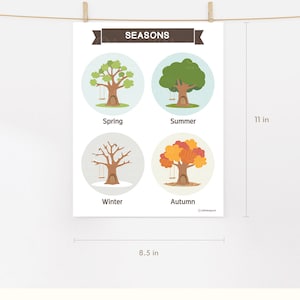 4 Seasons Trees Poster for Kids | Four Seasons Name Chart | Season List ...