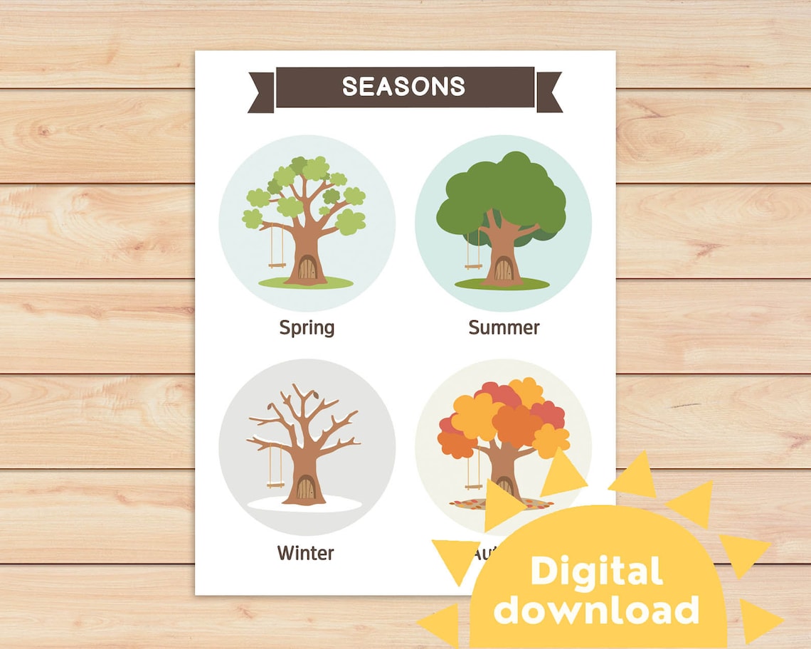 4 Seasons Trees Poster for Kids | Four Seasons Name Chart | Season List ...