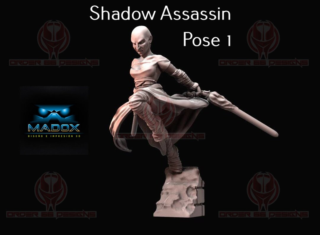 Shadow Assassin