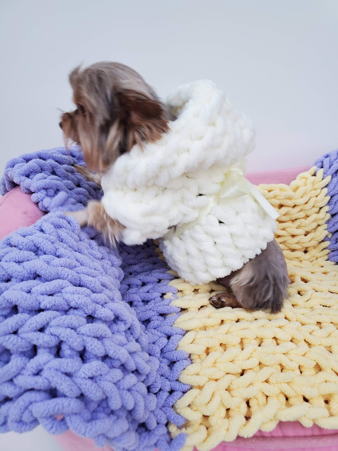 Small Dog Bathrobe Knit Puppy Robe Soft Dog Robe Dog Lover Gift Pet ...