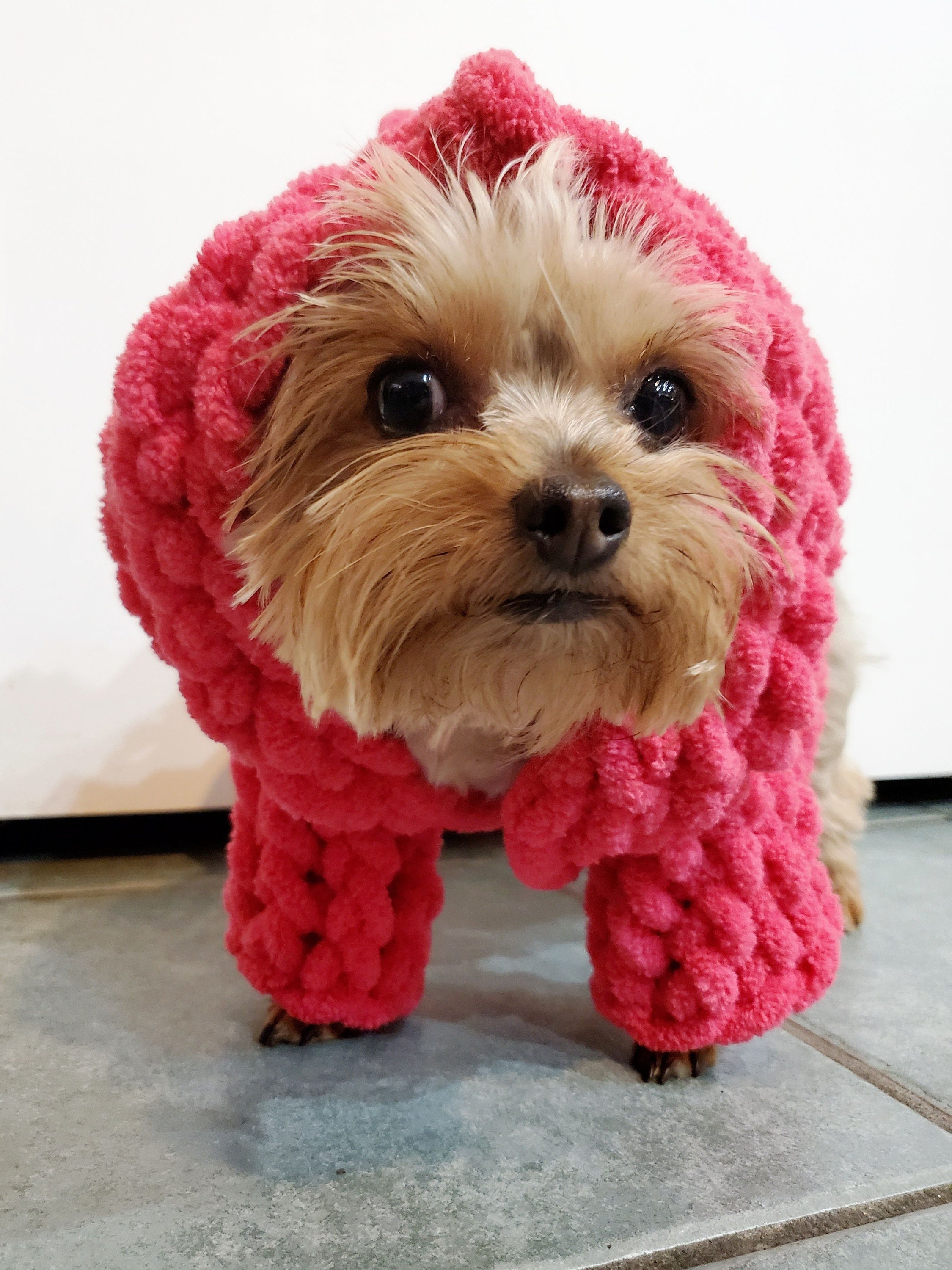 Small Dog Bathrobe - Knit Puppy Robe - Soft Dog Robe - Dog Lover Gift ...