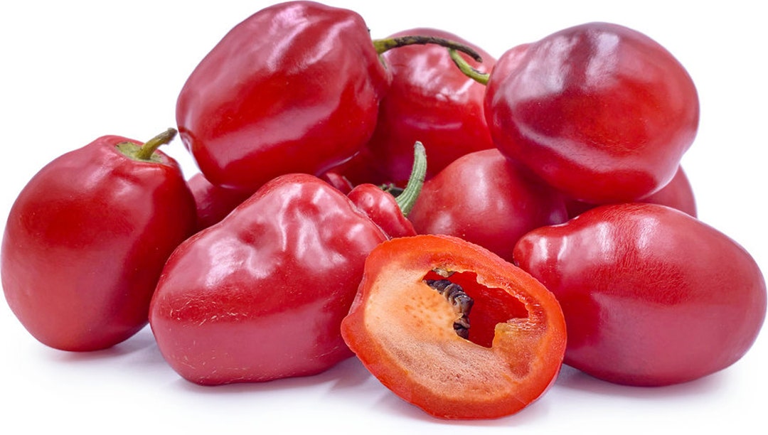 Live Rocoto red Peruvian Pepper Plant - Etsy