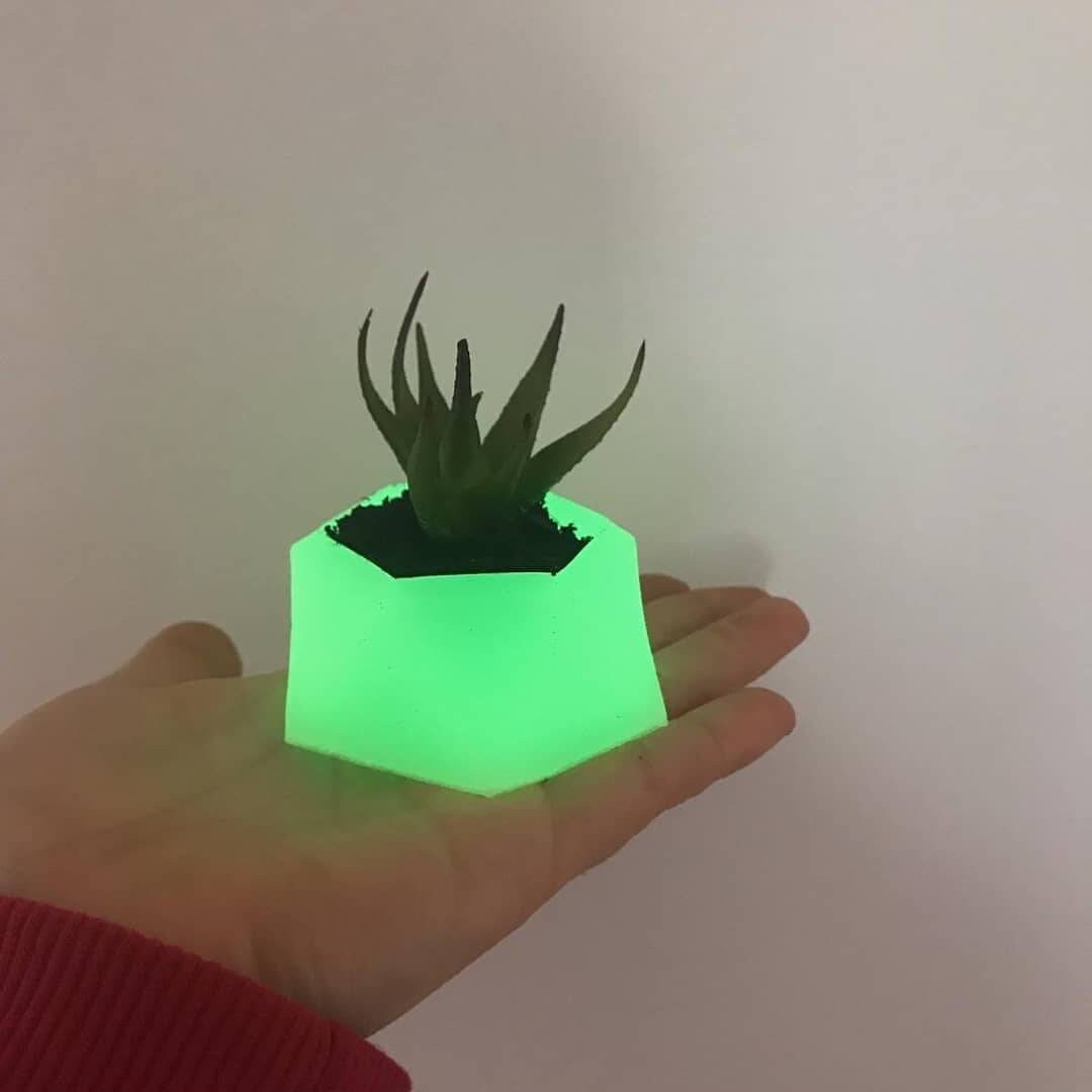 Poteta Captus - Etsy