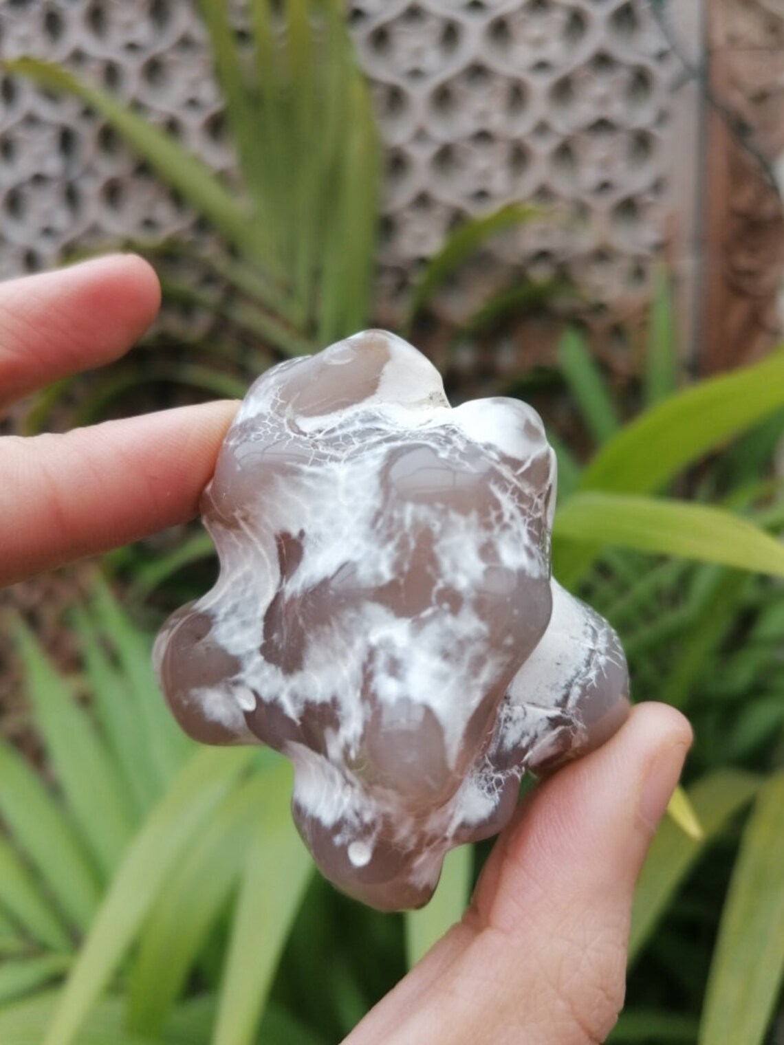 Large Snakeskin Agate Crystal Polished Agate Crystal Gifts | Etsy