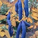 Blue Sausage Fruit Shrub {decaisnea Fargesii} Organic | Sweet Tasting ...