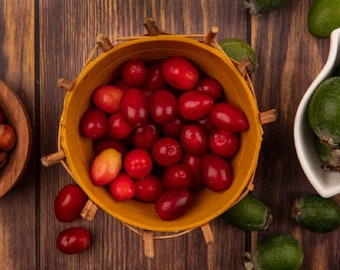 Cornelian Cherry Tree Seeds cornus Mascula 10seeds - Etsy