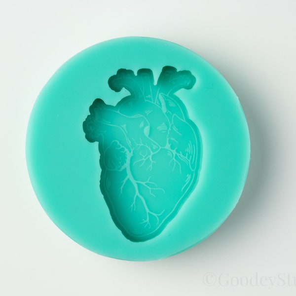 Human Heart Mold - Etsy