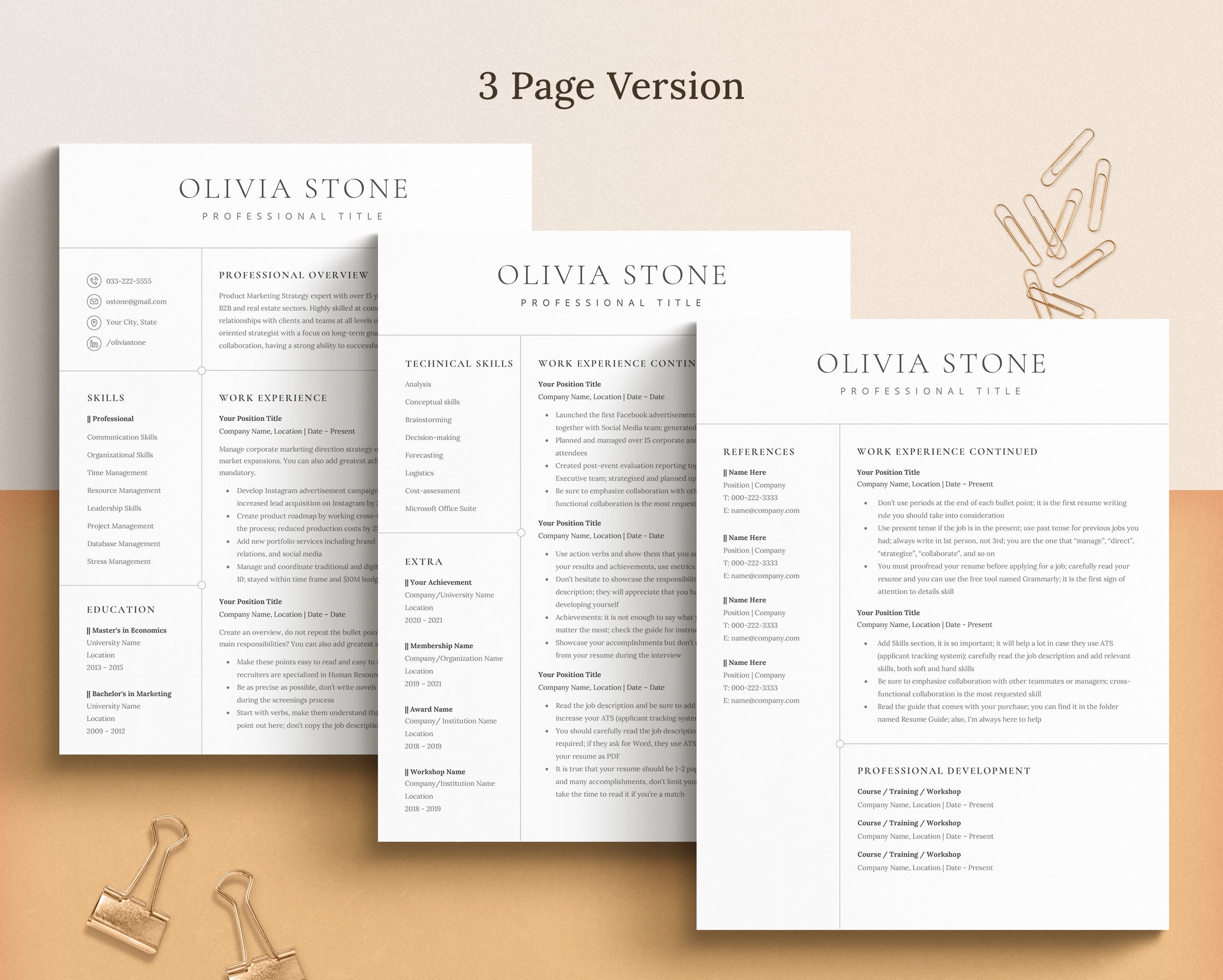 Modern Executive Resume Template 2021 for Word, Google Docs, Mac Pages ...