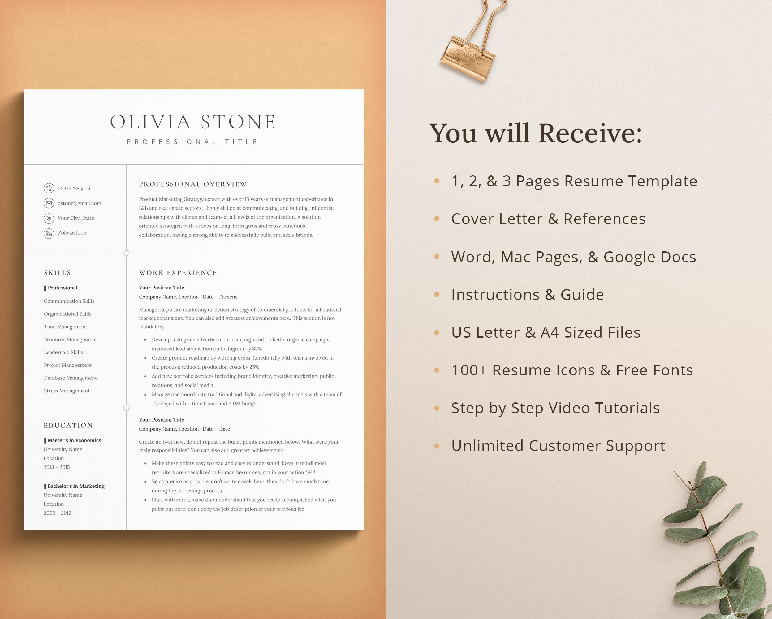 Modern Executive Resume Template 2021 for Word, Google Docs, Mac Pages ...